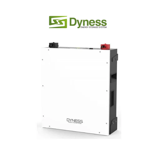 Dyness 5.12kWh 100Ah LiFePo4 Lithium Ion Battery BX51100 - CCTV Africa PTY (LTD)